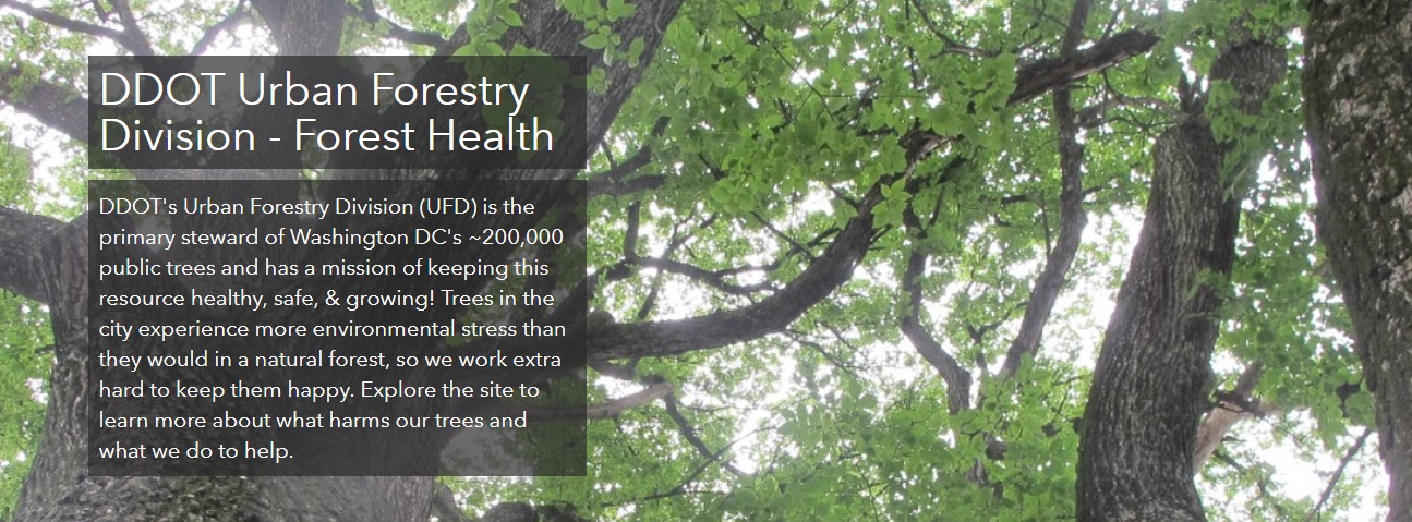 Urban Forest Health - SymGEO