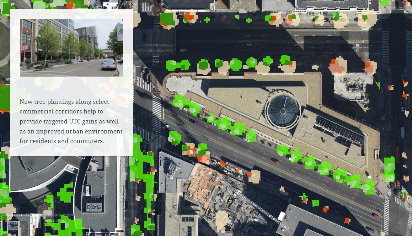Urban Tree Canopy Change Storymap - SymGEO